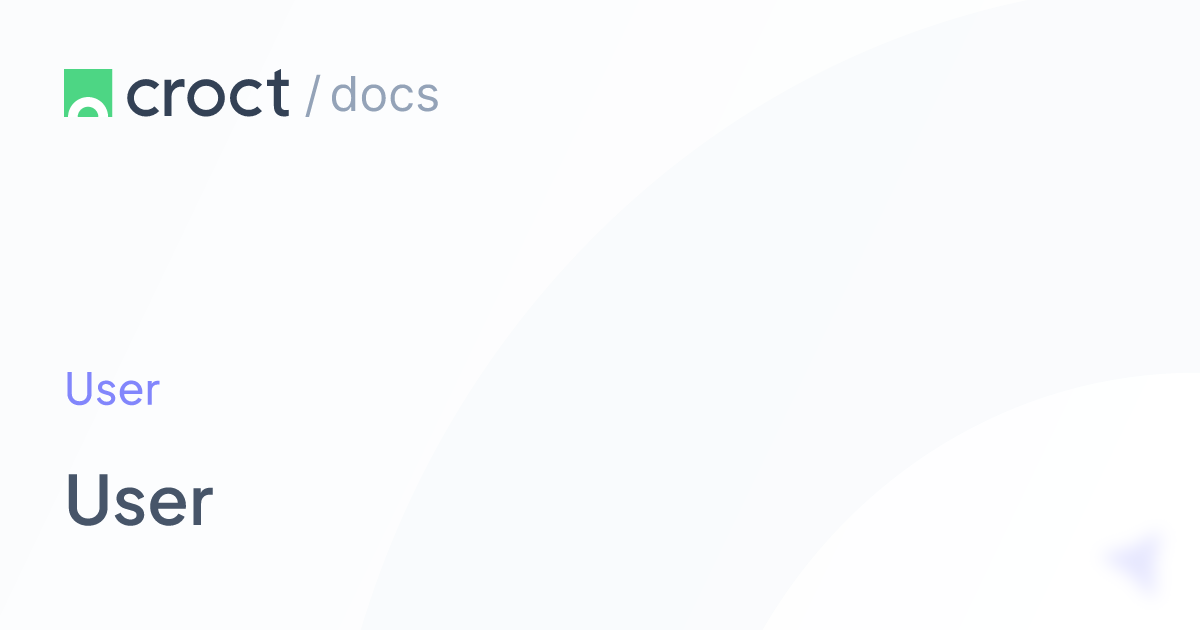 User | Croct Documentation